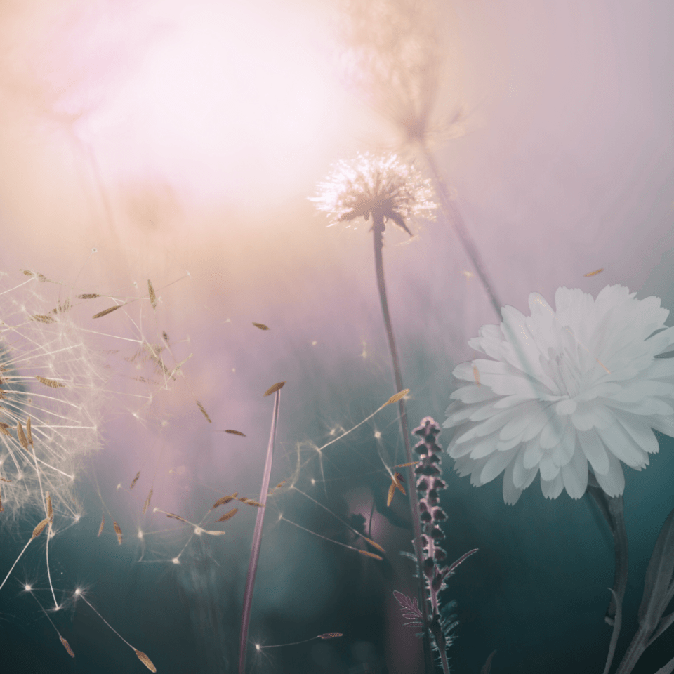 Online Spiritual Sessions | Maria Antoniou Psychic Medium